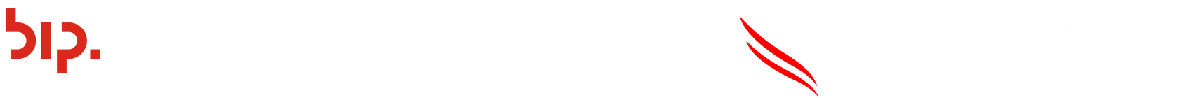 CTRL+ALT+SECURE | BIP CyberSec